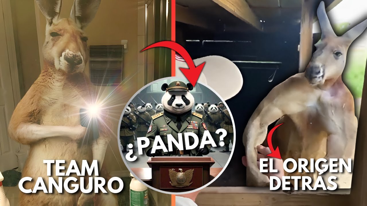 La verdad detrás de la foto del TEAM CANGURO | EL ORIGEN DEL MEME - YouTube