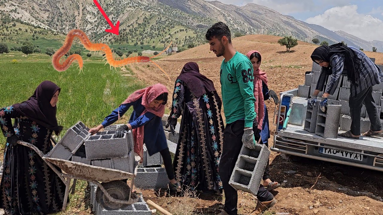 Snake and scorpion: the challenges of building a nomadic house ...