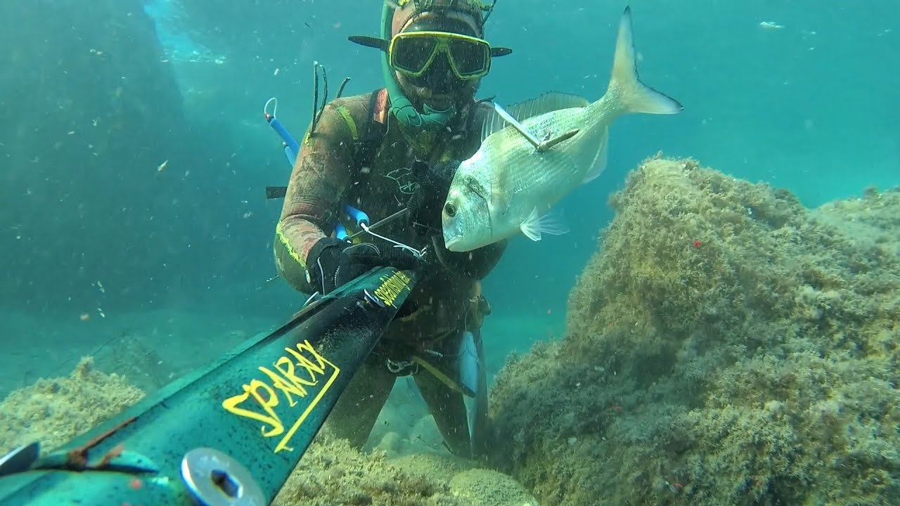 Ψαρευοντας στην ακτογραμμη no4!!!Spearfishing at the coastline no4 ...