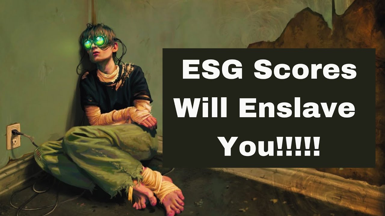 What are ESG Risk Scores? : Simply Explained - YouTube