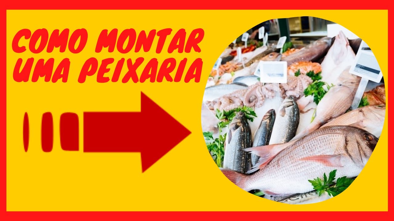 Como montar peixaria - YouTube