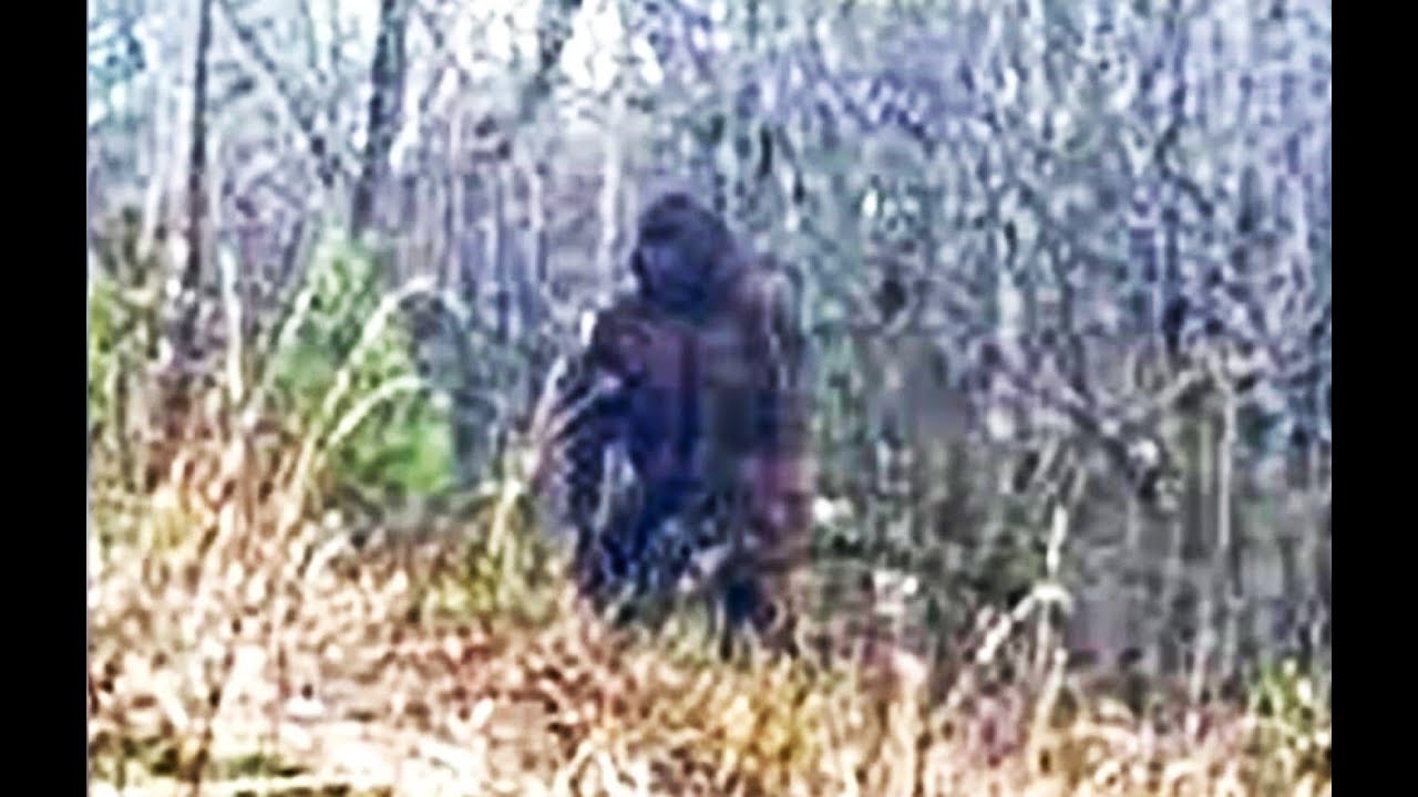 The HORRIFIC ATTACK at the L.B.L. ~ The First Responders account/WBR ...