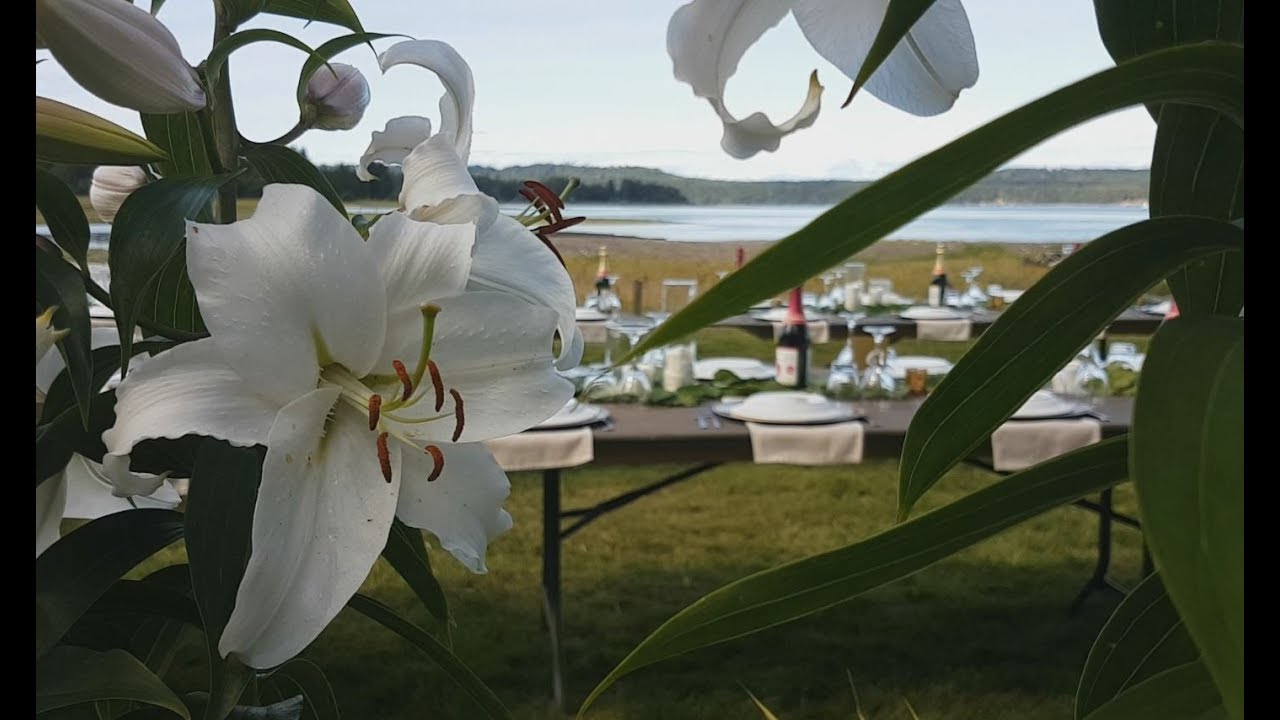 Mariah and Jake 2019 - YouTube