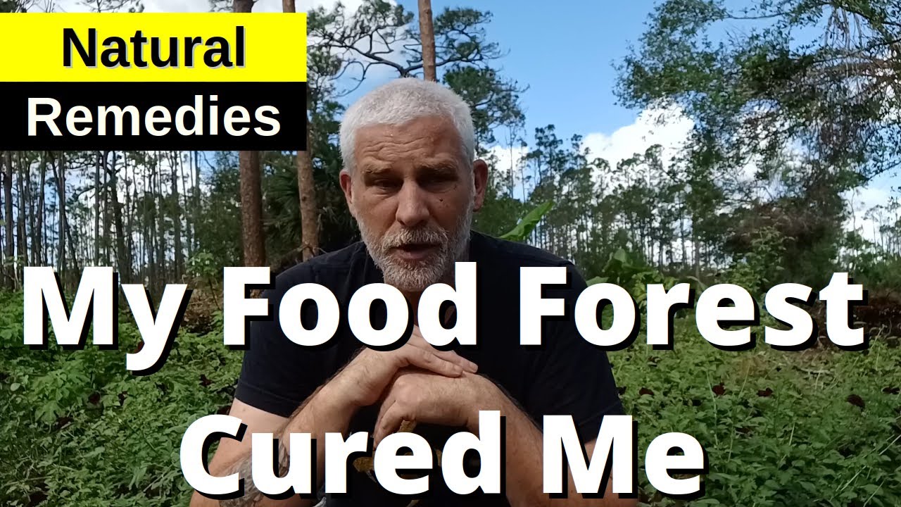 My Journey To Freedom Beating High Blood Pressure With Plants Keto My Journey To Freedom Beating High Blood Pressure With Plants Keto