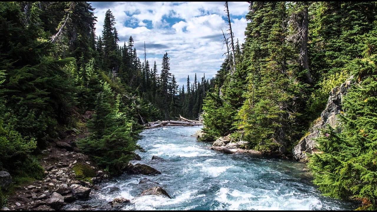 4 Hours - Relaxing Nature Sounds - River Rapids - YouTube