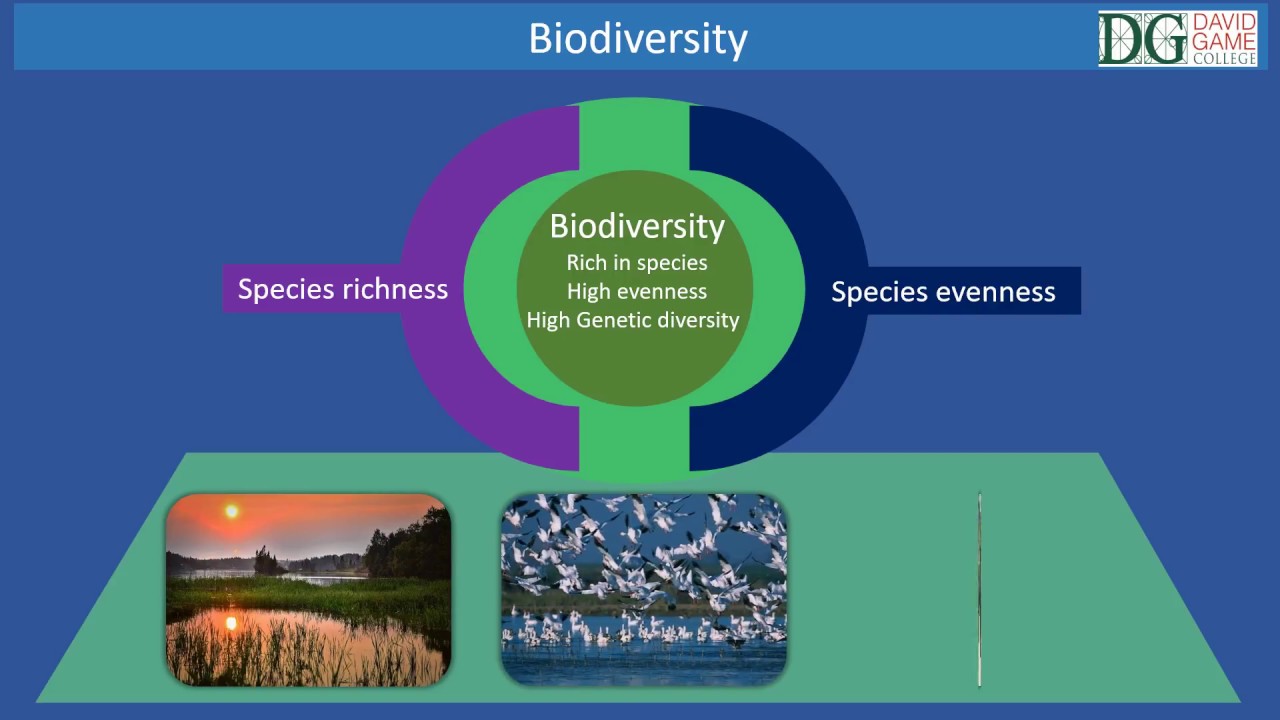 David Game College - Biodiversity - YouTube