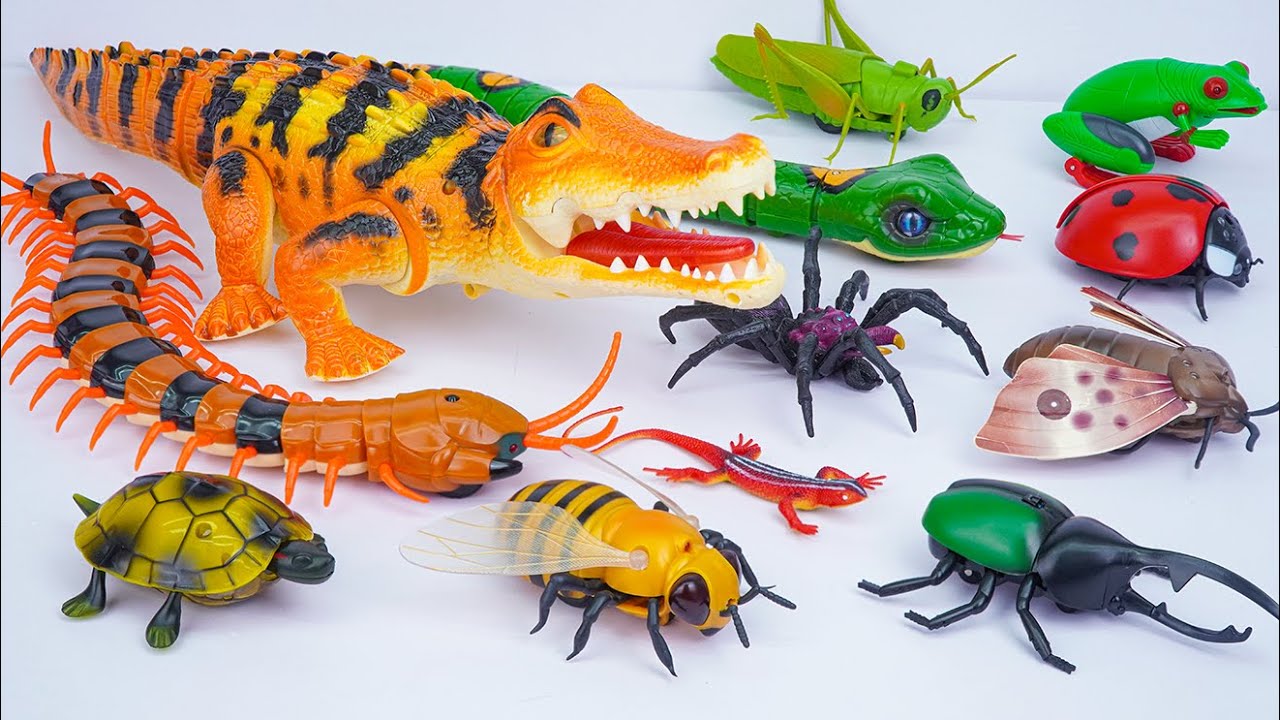 [🐰toy asmr🐰] Remote Controlled Huge Alligator & Centipede & Robo ...