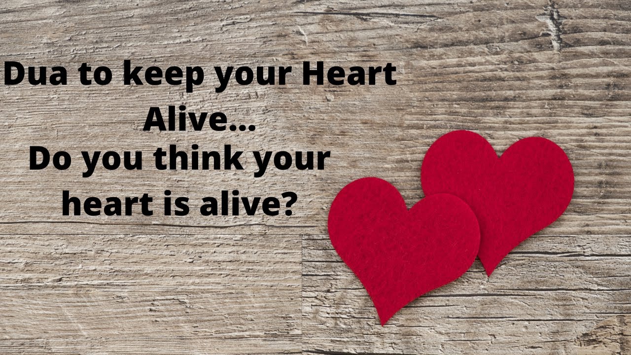 How to keep your heart Alive? - YouTube