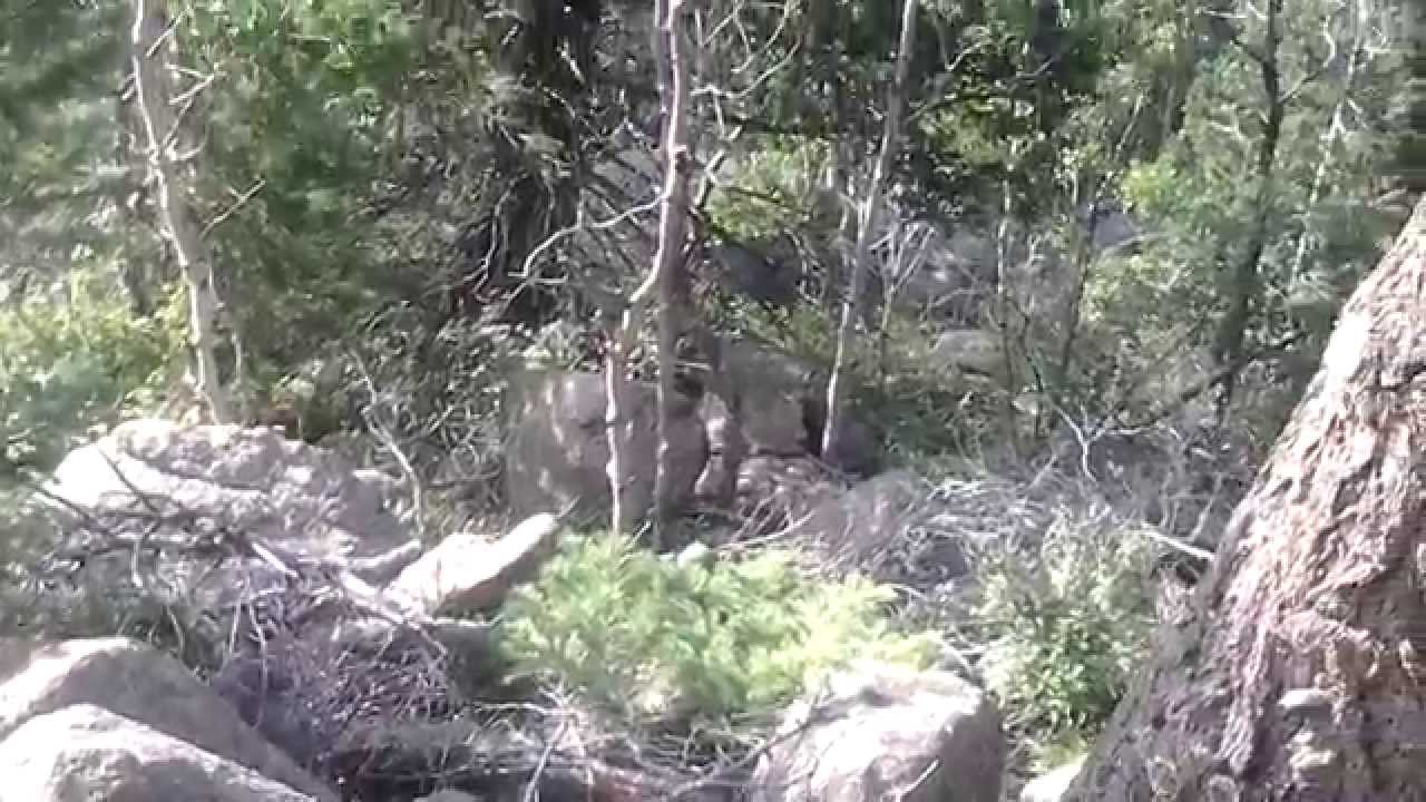 Redneck Fabulous 4 of July camping in the Rockies - YouTube