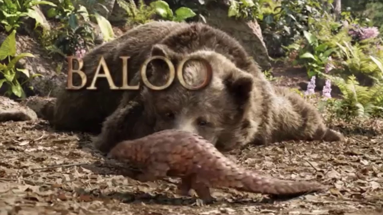 Baloo - YouTube