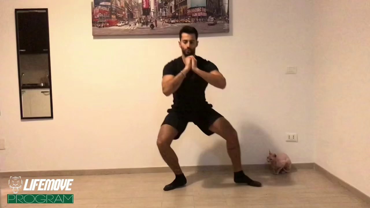 Sumo jump side by side - YouTube