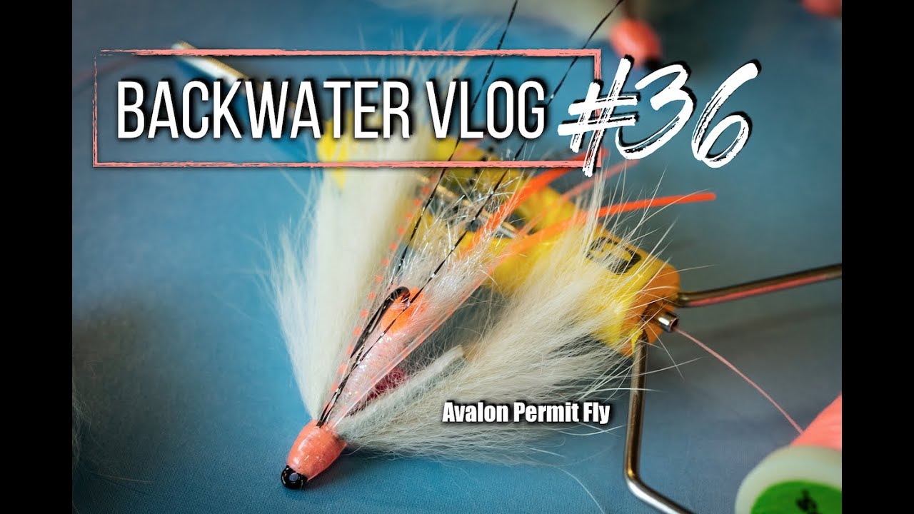 EZ Avalon Permit Fly Pattern Tying Tutorial: BACKWATER VLOG #36 - YouTube
