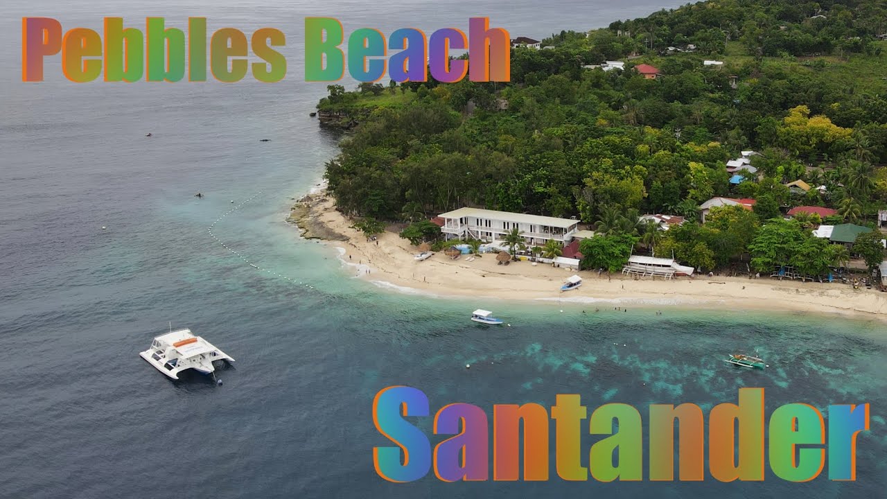 Sea Turles and Sea Snakes at Pebbles Beach, Liloan,Santander,Cebu - YouTube