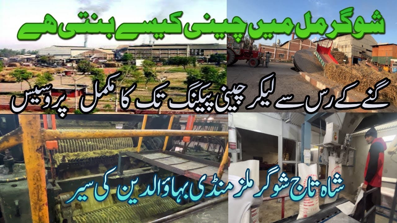 How Make Sugar Sugar Mill SHAHTAJ Sugar Mill s Travel And Visit how-make-sugar-sugar-mill-shahtaj-sugar-mill-s-travel-and-visit