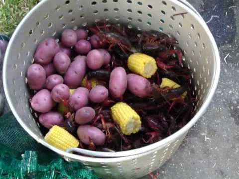 How to Boil Crawfish - Cajun Style - YouTube