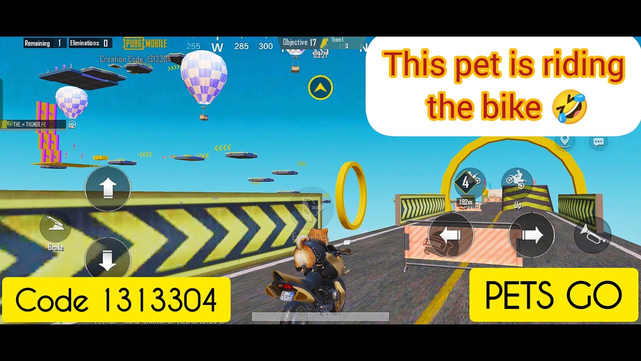 PETS GO | This pet is riding the bike 😂 | Pubg Mobile Gameplay | Code ...