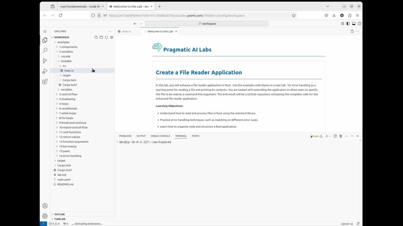 Rust Interactive Labs on Pragmatic AI Labs - YouTube