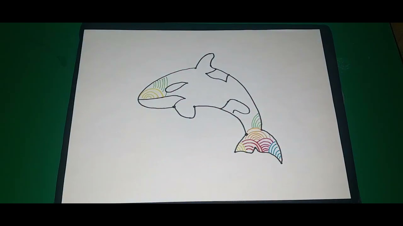 Cara menggambar paus orca ~ drawing killer whale - YouTube