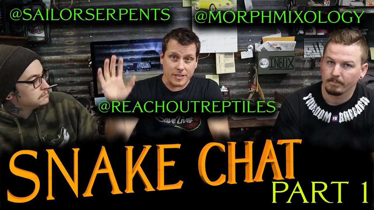 SNAKE CHAT W/ REACH OUT REPTILES & SAILOR SERPENTS | Mixology #91 - YouTube