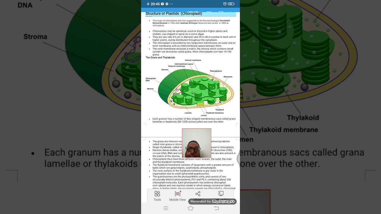 Class IX - plastids(chloroplast) - YouTube