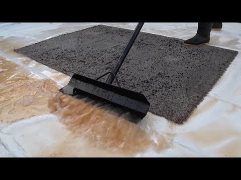 From Eww to Wow! | The successful removal of dog urine from a dirty ...