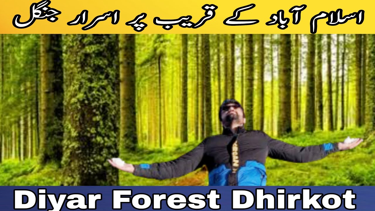diyar forest dhirkot | 900 years old tree | most beautiful thick forest ...