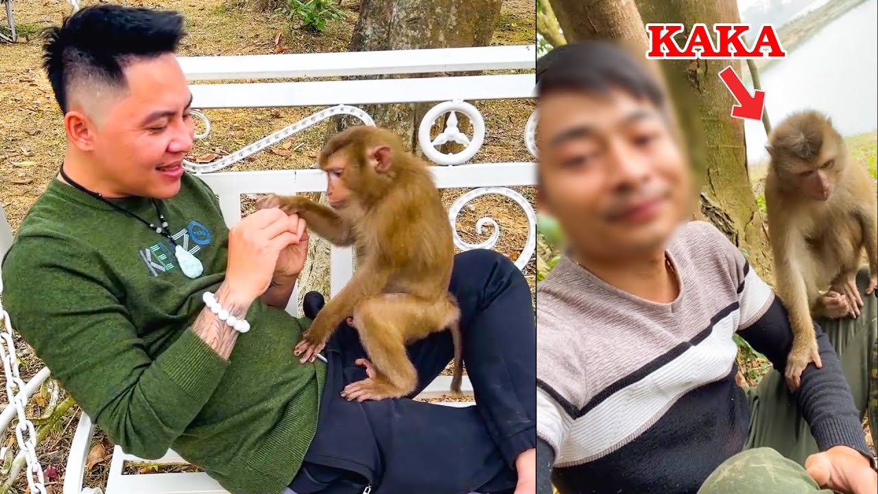 New! Rare Moment of Monkey Kaka Found Online! - YouTube