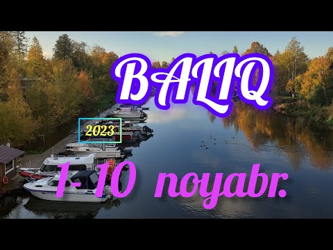 BALIQ BÜRCÜ. ♓️ 1 - 10 noyabr.  2023.