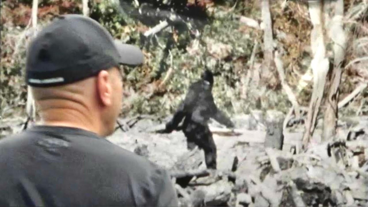 The Other side of the Ocala Bigfoot Conference - YouTube