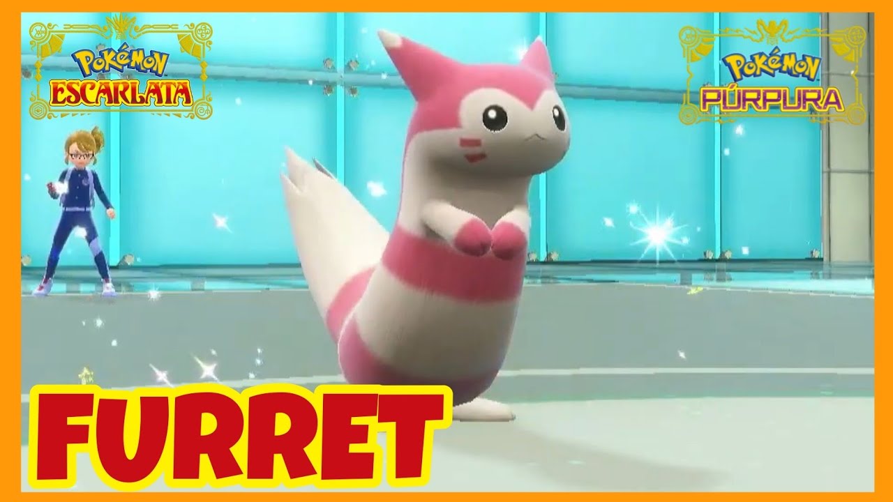 FURRET ENCUENTRA a su NEMESIS y no lo DEJA CA-MI-NAR en POKÉMON ...