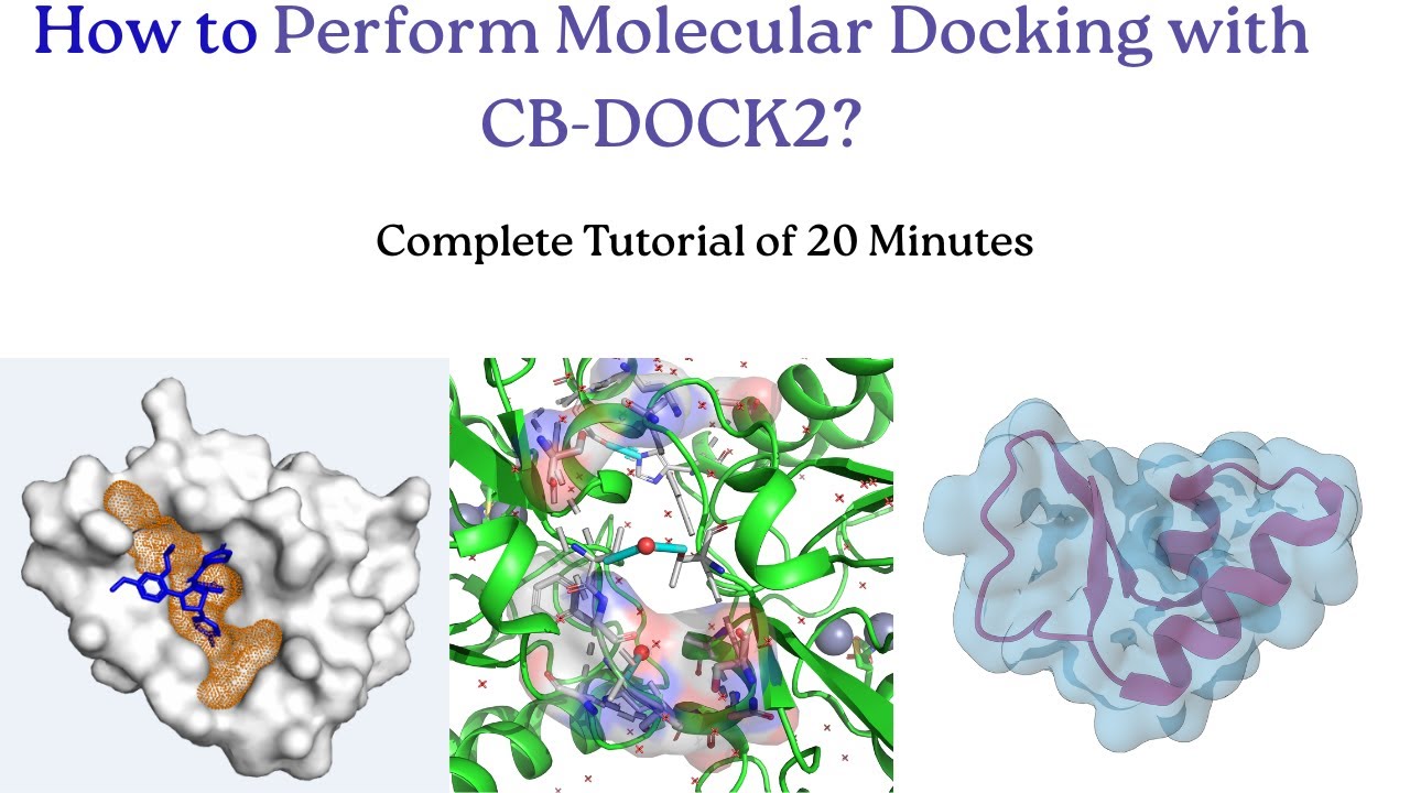 How to Perform Molecular Docking with CB-DOCK2? - YouTube