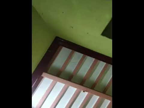 Sonagachi Inside #Room ️ #full #edsa - YouTube