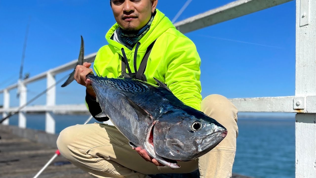 hervey bay's healthy mac tuna.. - YouTube