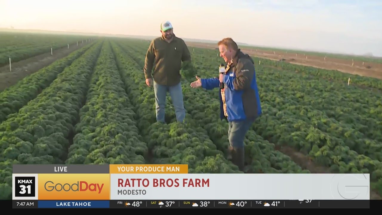 Ratto Bros Farm - YouTube
