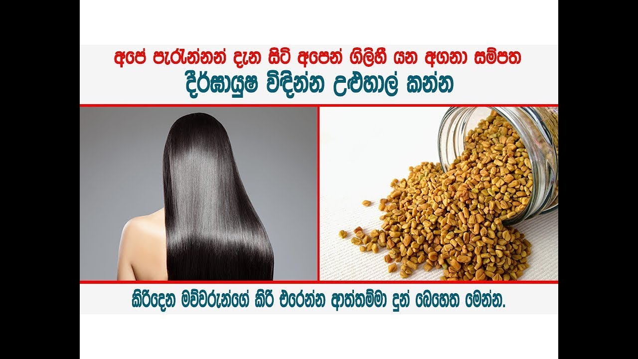 දීර්ඝායුෂ විඳින්න උළුහාල් - Fenugreek seeds for rejuvenation - YouTube