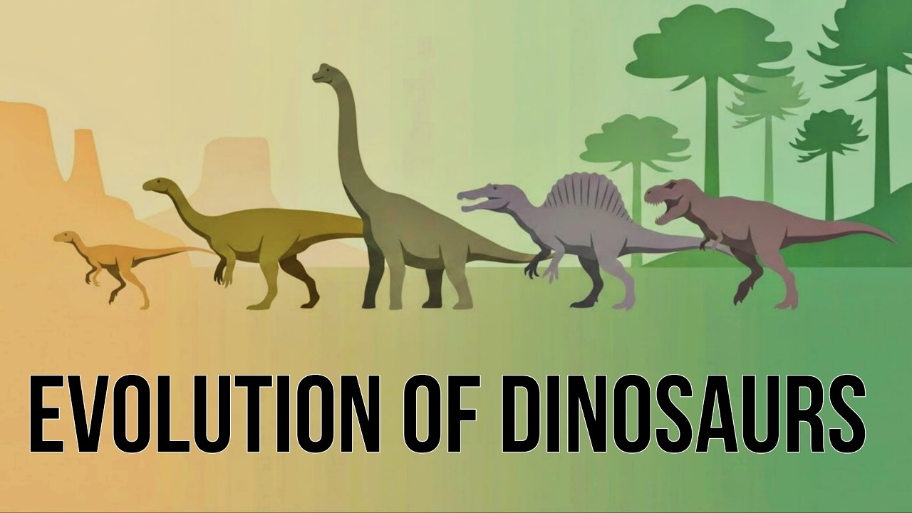 Dinosaur Transformation | From the earliest to the latest - YouTube