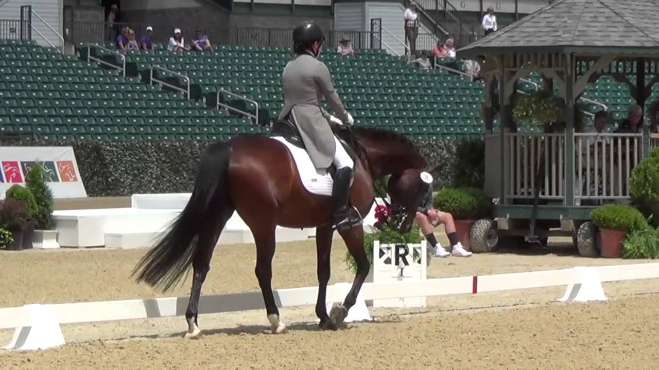 Devon Wycoff & Power Play NAJYRC Dressage Team Ride 2014 - YouTube