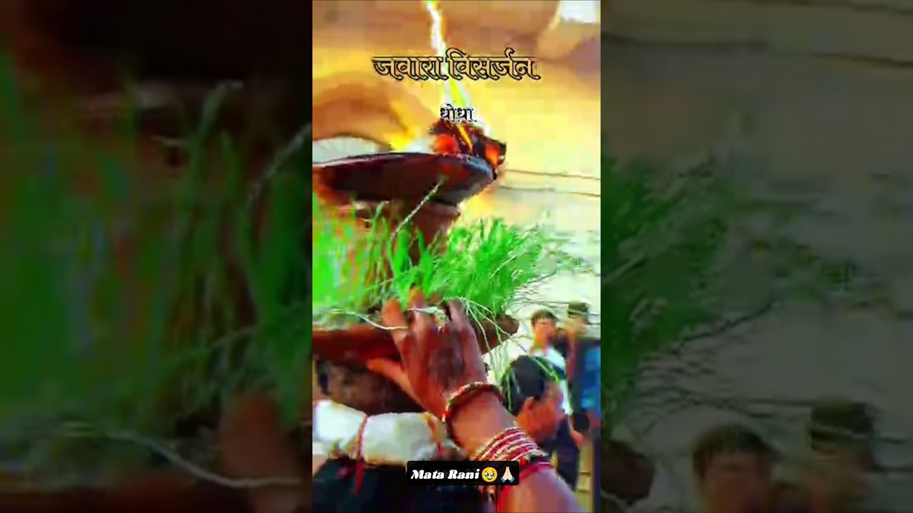 jawar Visarjan🥹🙏🏻#cg #cghome #cgsong #cgnavratri ||Deepa Netam vlog ...