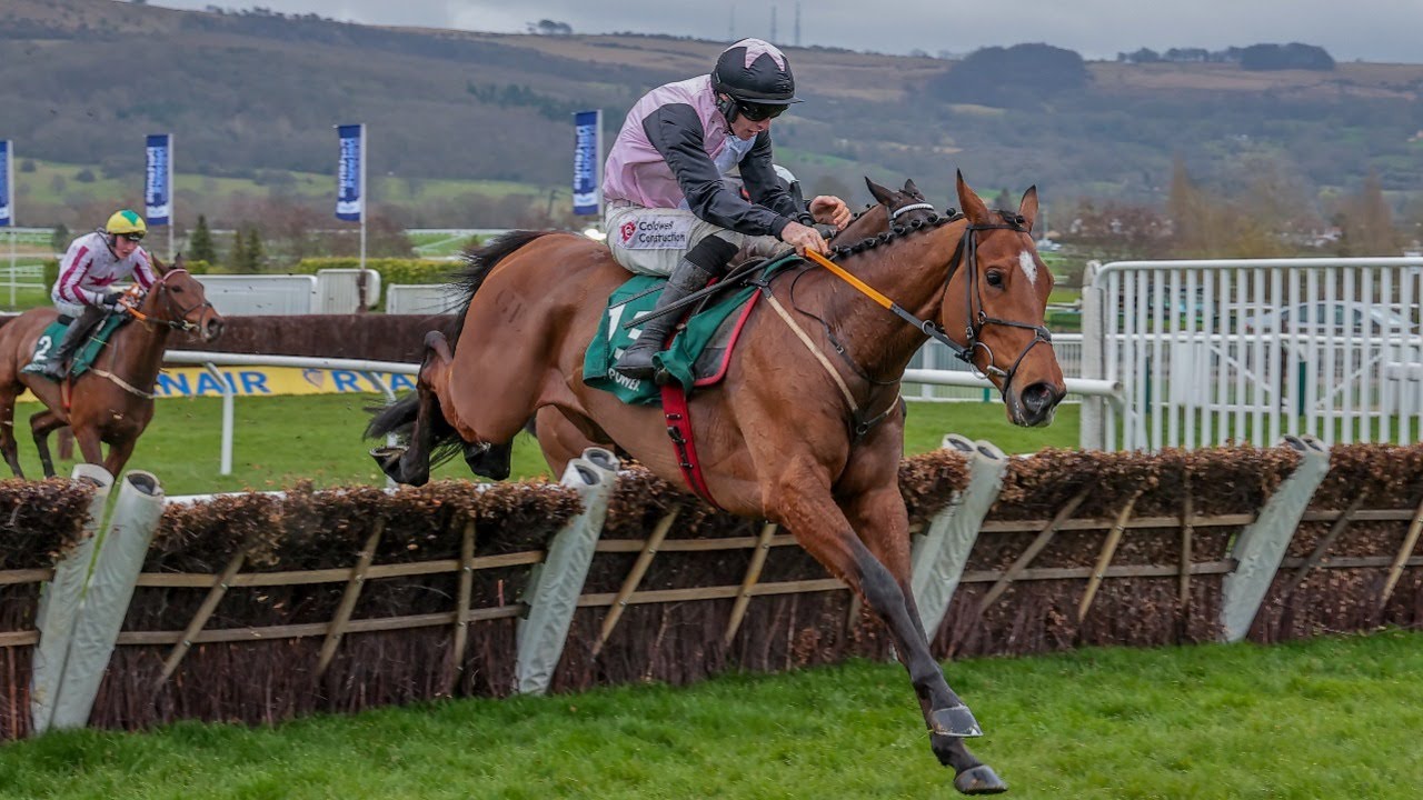 Cheltenham Festival 2024 Day 3 - Highlights & Interviews - YouTube