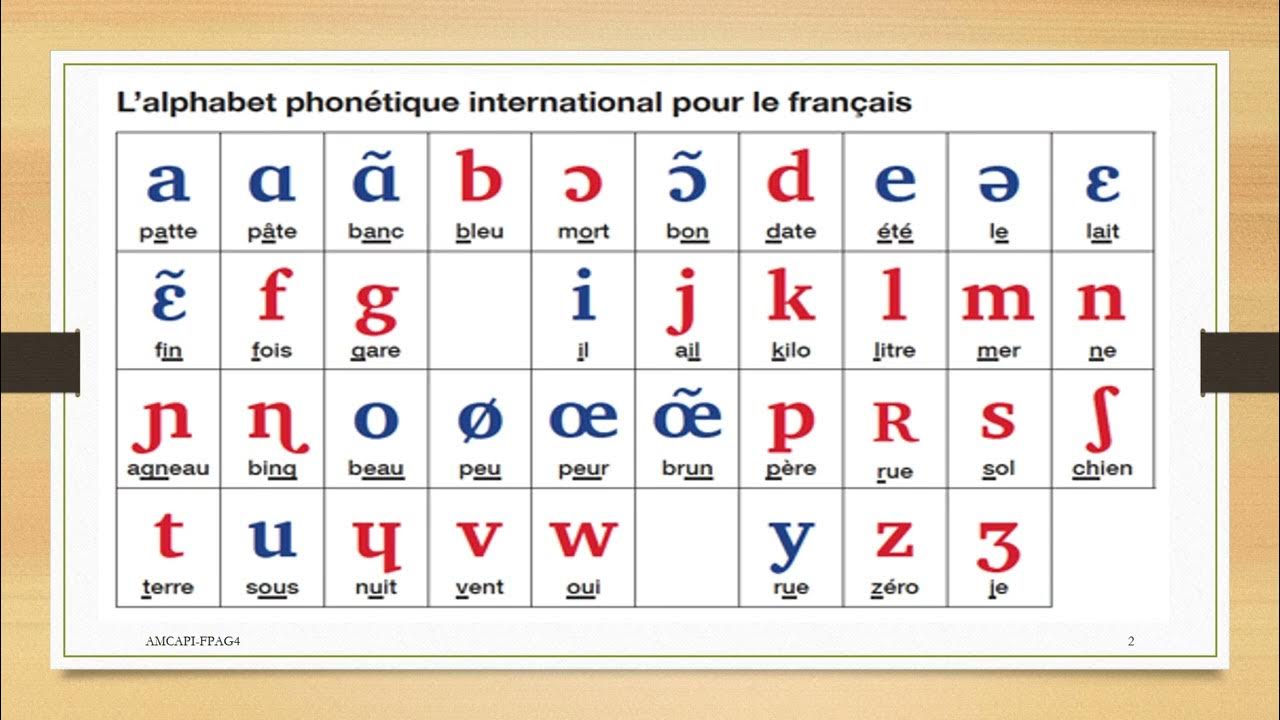 API Français - YouTube