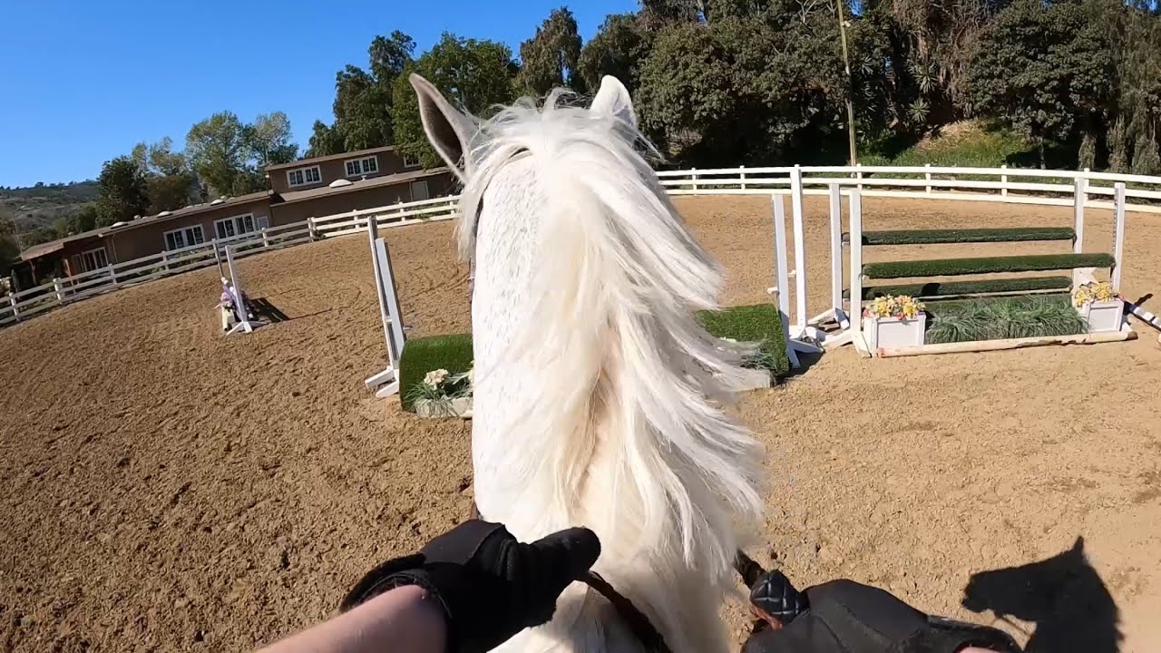 Rockin' the Rolltop!-GoPro Horseback Riding - YouTube