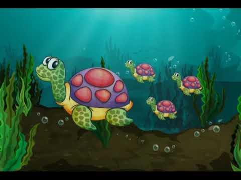Cuentos Educativos - 42 El nacimiento de las Tortugas / CUÉNTAME UN ...