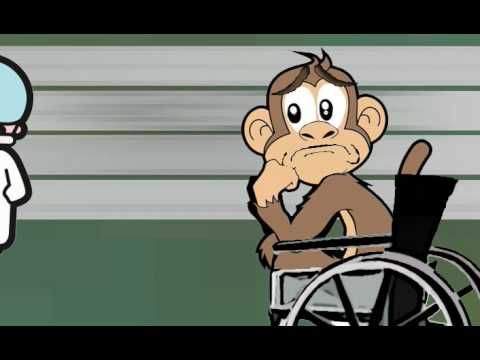 SINGLE CELL HELPS PARALYZED MONKEYS MOVE. - YouTube