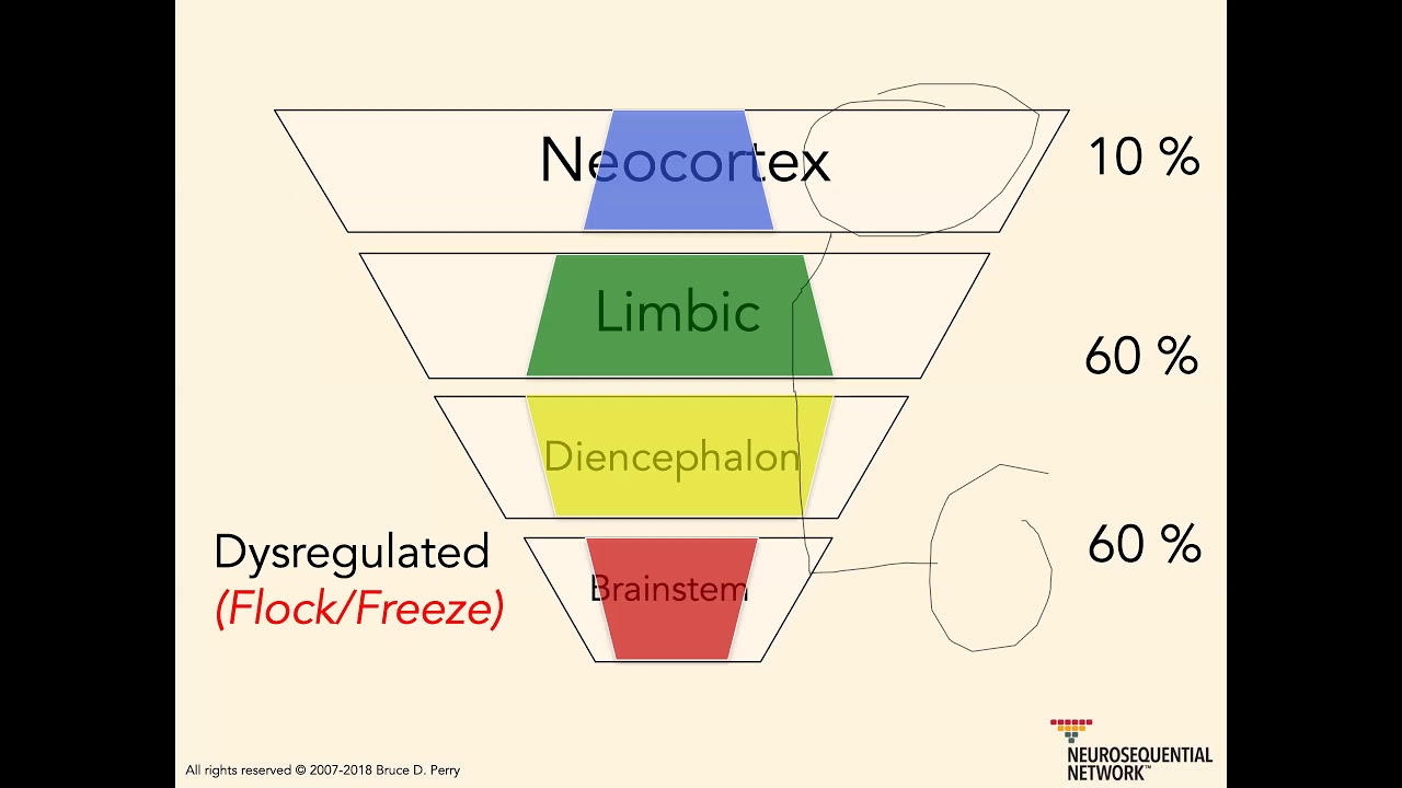 15. Sport, Music & Art: The Bedrock of Academics: Neurosequential ...