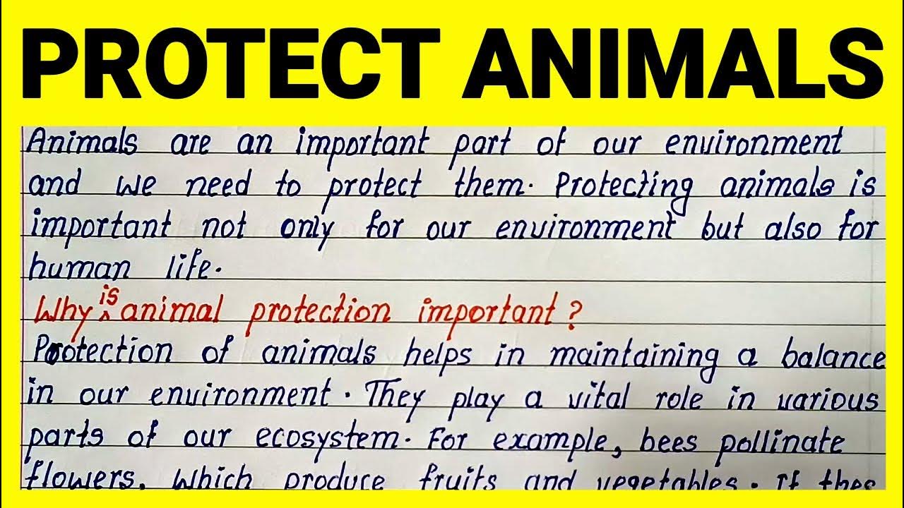 How to Protect Animals English Essay | Best English Essay on Protect ...