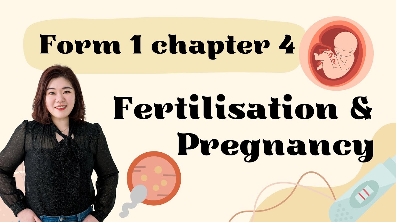 【中文讲解】Form 1 Science Chapter 4 Fertilisation & Pregnancy - YouTube