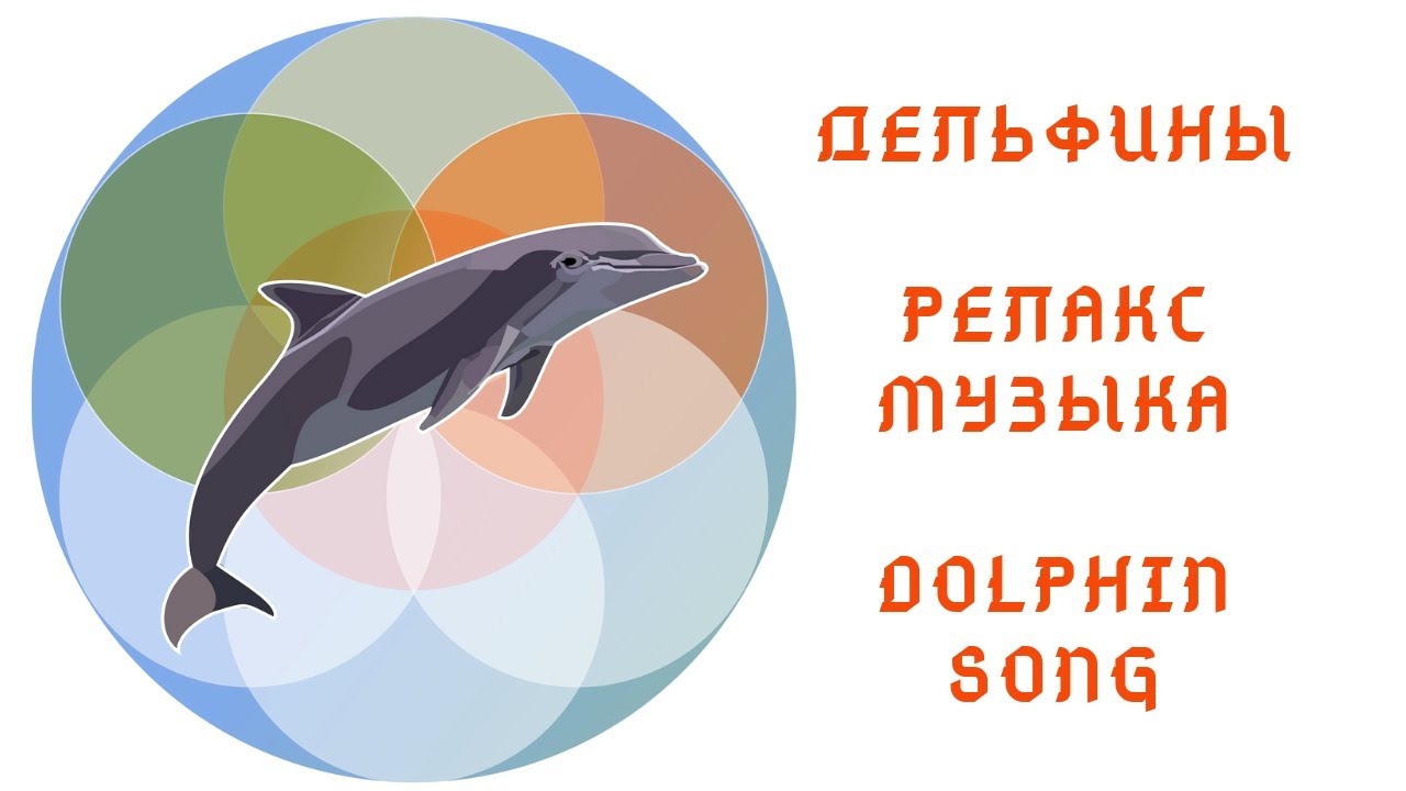 Дельфины. Релакс музыка и песни дельфина| Dolphin song. - YouTube