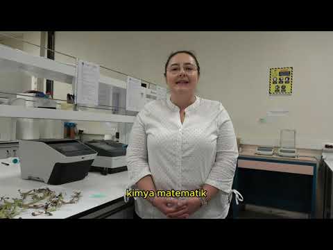 Doç. Dr. Sevgi Maraklı Röportajı