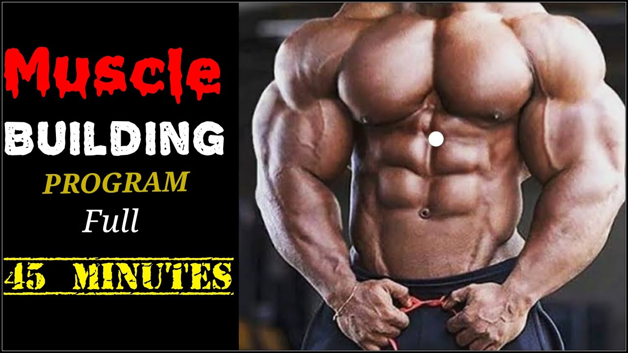 Muscle Building Program || Body Fitness and Workout By Karan pankaj ...