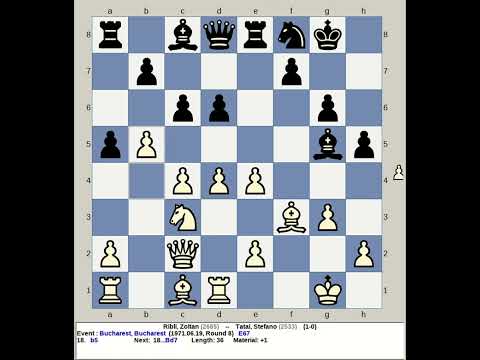 Ribli, Zoltan vs Tatai, Stefano | Bucharest Chess 1971, Romania